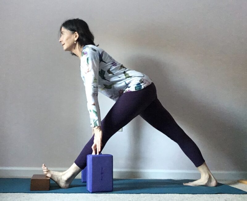 Bone Density and the Hip Socket - AHA Yoga - Kerry Doyle